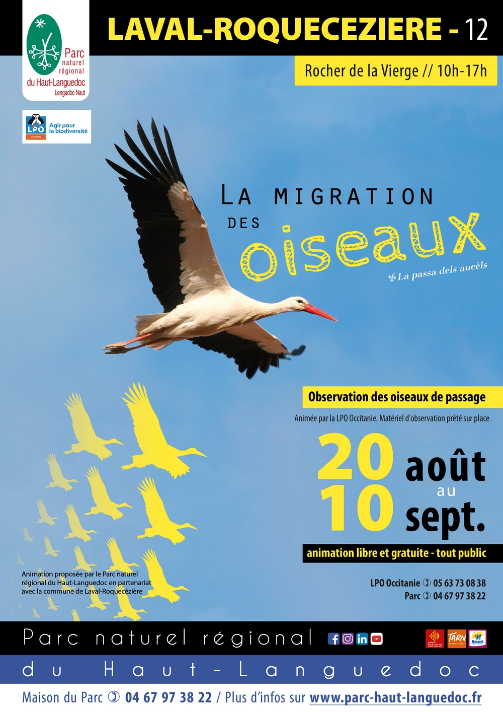 Animation : la migration des oiseaux | Parc naturel régional du Haut ...